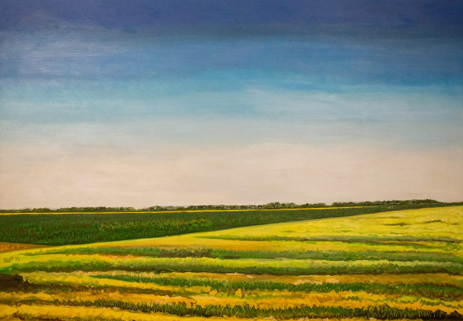 14. Prairie View V - In Every Season - Permanent Art Collection Tour